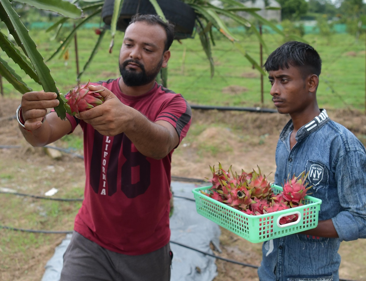 Previse 2025: Developments in Agriculture · UPSCprep.com