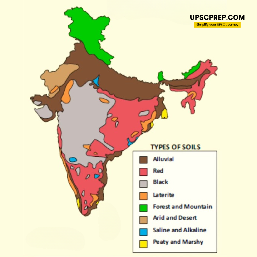 Major soil types in India · UPSCprep.com