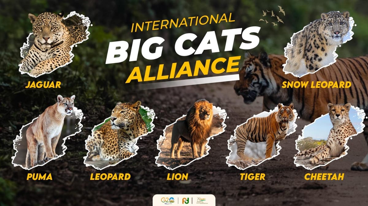 International Big Cat Alliance (IBCA) · UPSCprep.com