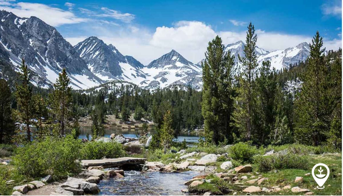 Climate Velocity | Mountain Ecosystems · UPSCprep.com