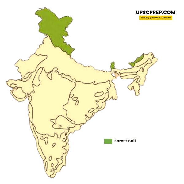 Major soil types in India · UPSCprep.com